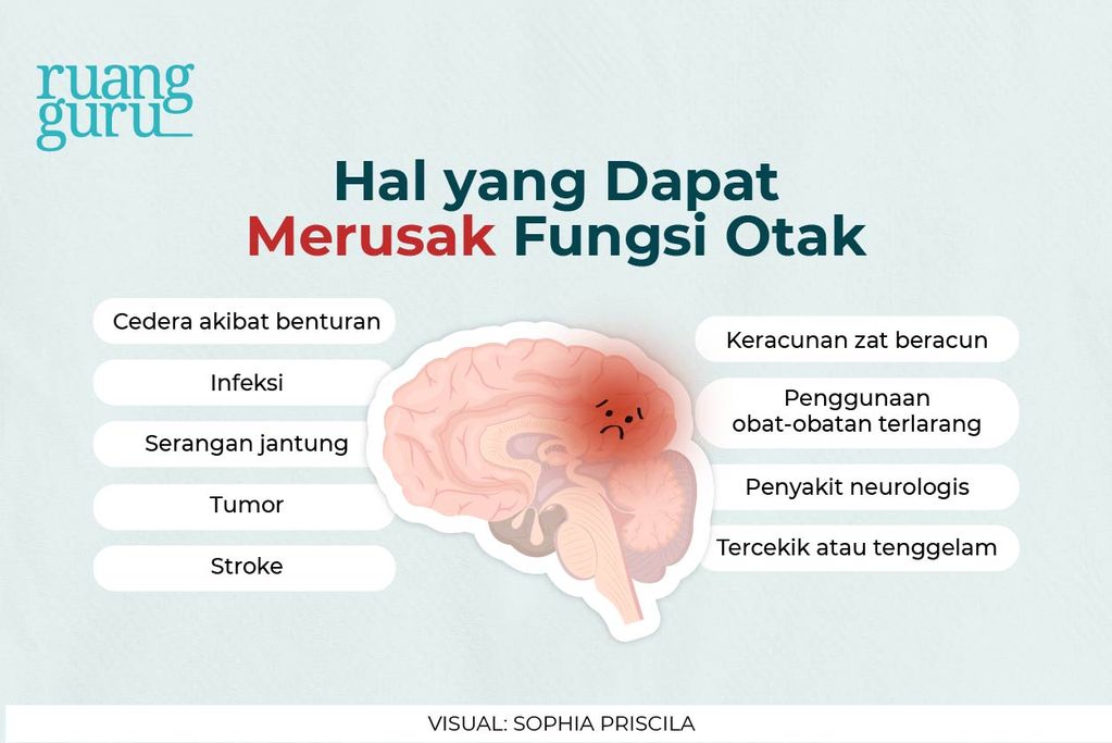 Aktivasi Otak Tengah, Mitos atau Fakta? - Belajar Gratis di Rumah Kapan Pun! | Blog Ruangguru